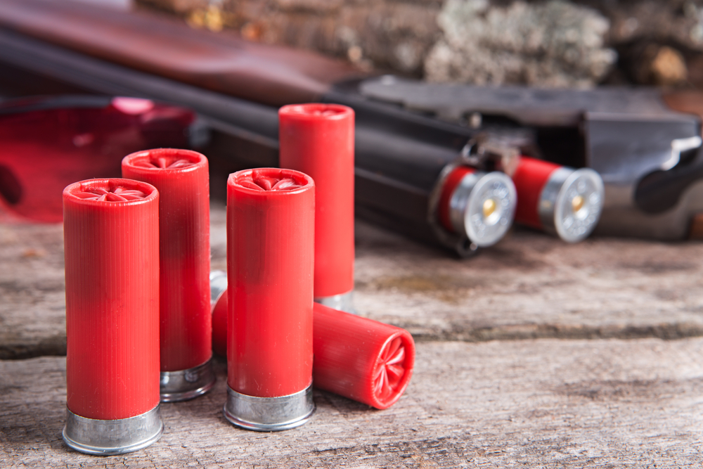 Shotgun Shells and Ammo Explained – Hinterland Outfitters